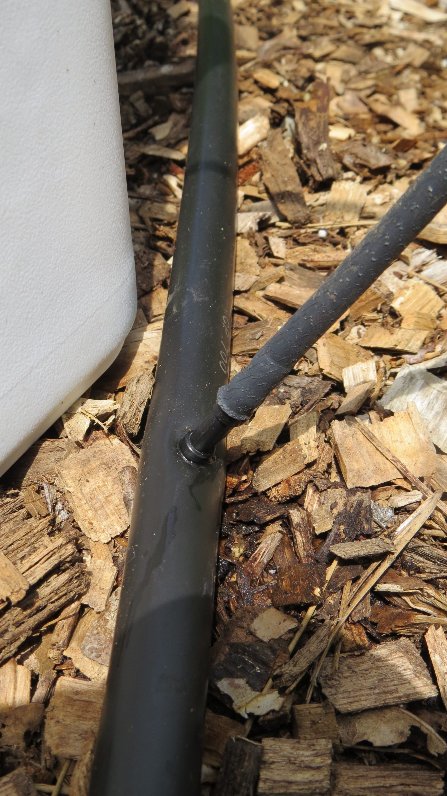 Setting up drip irrigation system – I grow figs